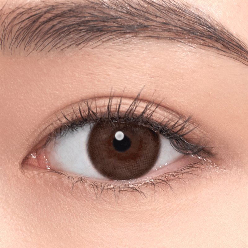 See Through Kristin Plus 1Day Choco – eotd