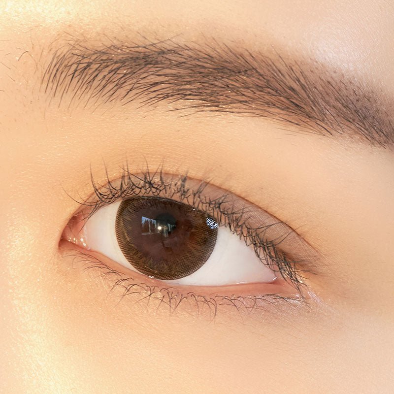 Iris Latin Eotd