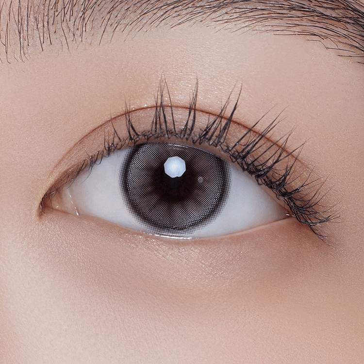 Dolly Kristin 1Day Lavender – eotd
