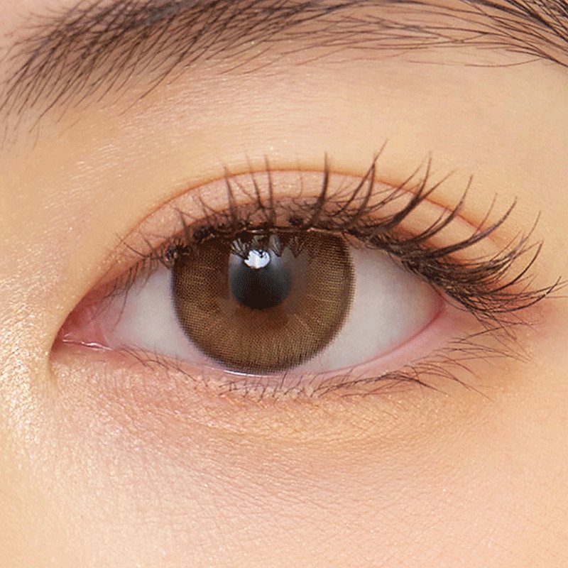 Shea Butter Monthly Nutty Brown – eotd
