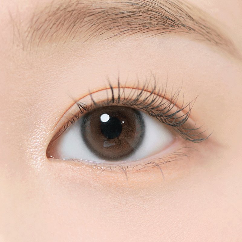 Eyeis Ash Brown 6 months Lens – eotd