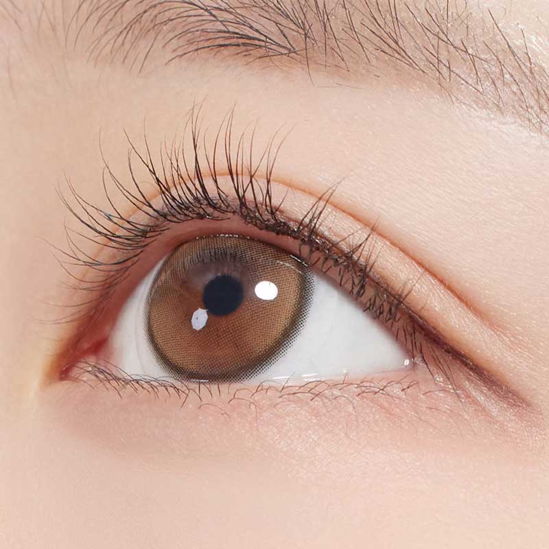 First Love Kristin 1Day Brown – eotd